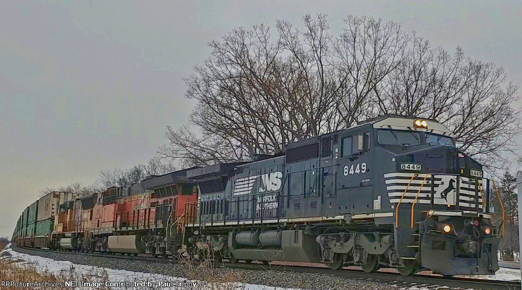 NS 8449